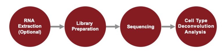 Bulk Rna Seq With Cell Type Deconvolution Singulomics Corporation